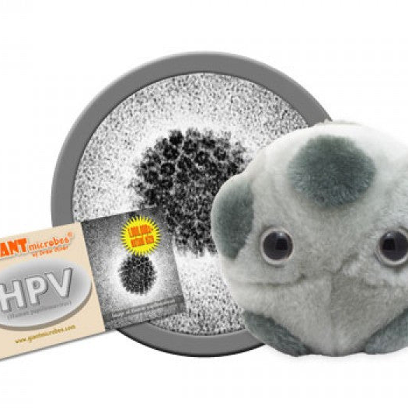 HPV (Human papillomavirus) - GIANTmicrobes® Plush Toy... | LabRatGifts ...